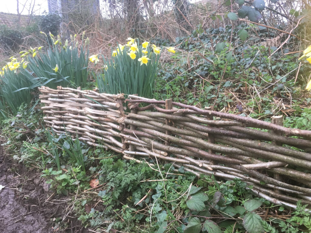 Introduction to Hazel Splitting & Mini Hurdle Making - Dorset Coppice Group